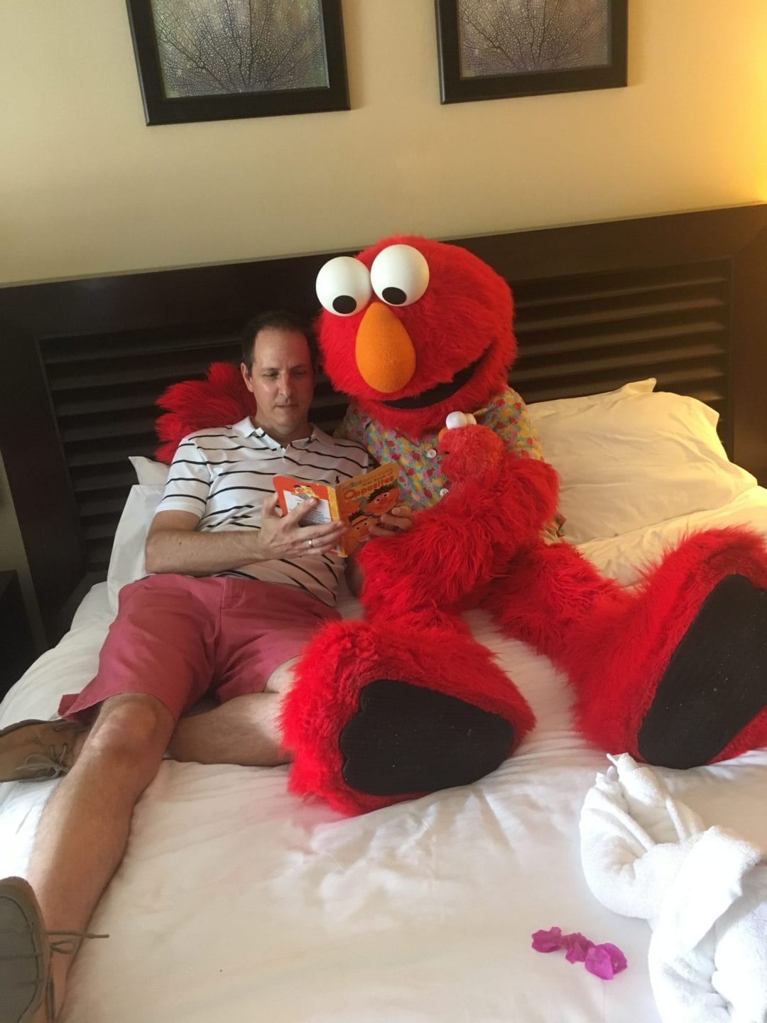 Beaches Sesame Street Night Night Sleep Tight Package